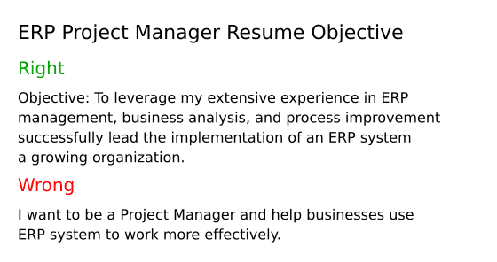 Top 18 ERP Project Manager Resume Objective Examples