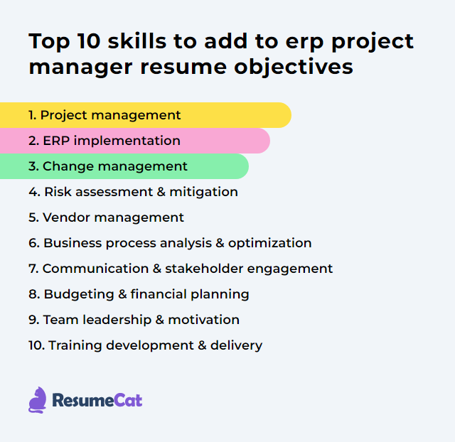 Top 18 ERP Project Manager Resume Objective Examples