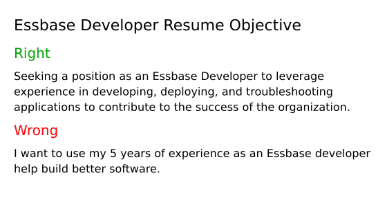 Top 17 Essbase Developer Resume Objective Examples