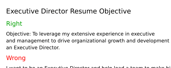 Top 16 Executive Director Resume Objective Examples