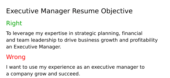 Top 16 Executive Manager Resume Objective Examples