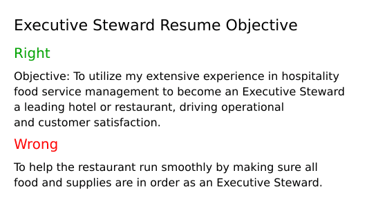 Top 17 Executive Steward Resume Objective Examples