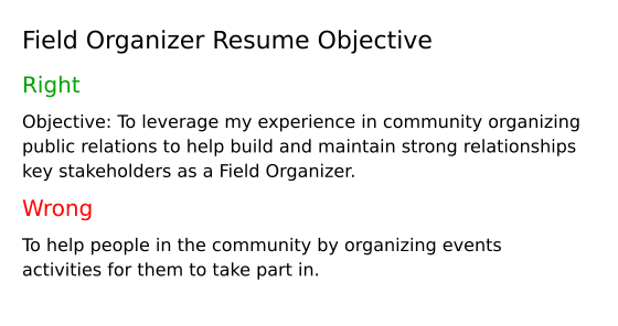 Top 16 Field Organizer Resume Objective Examples | ResumeCat