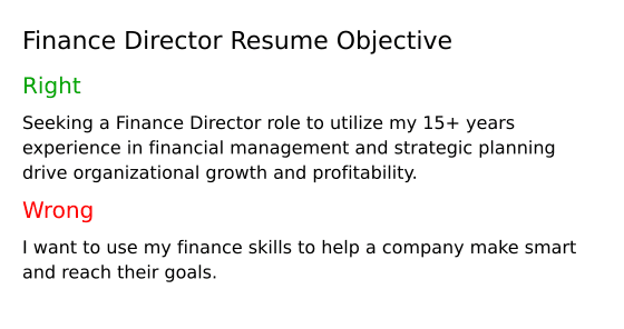 Top 16 Finance Director Resume Objective Examples