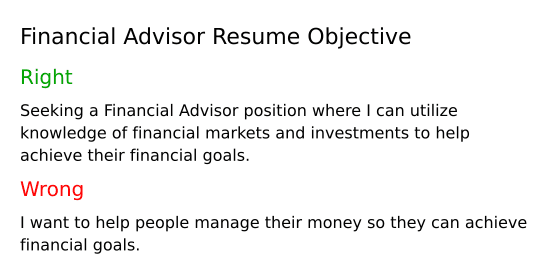 Top 16 Financial Advisor Resume Objective Examples