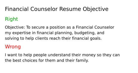 Top 16 Financial Counselor Resume Objective Examples