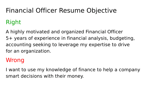Top 18 Financial Officer Resume Objective Examples