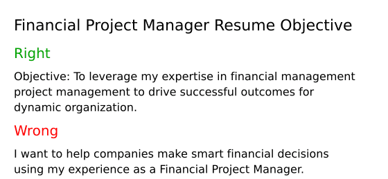 Top 16 Financial Project Manager Resume Objective Examples