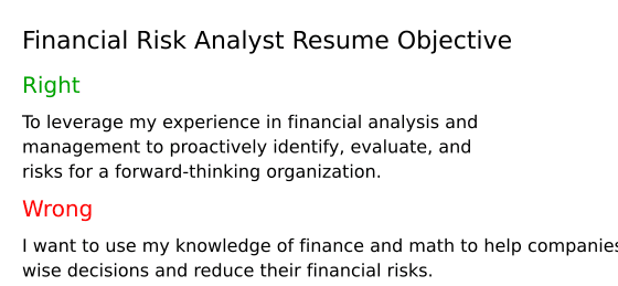 Top 16 Financial Risk Analyst Resume Objective Examples