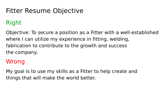 Top 16 Fitter Resume Objective Examples | ResumeCat