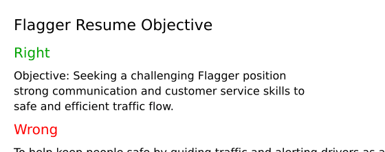 Top 17 Flagger Resume Objective Examples | ResumeCat