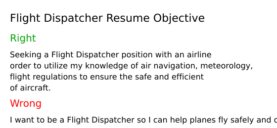 Top 16 Flight Dispatcher Resume Objective Examples