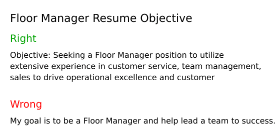 Top 16 Floor Manager Resume Objective Examples | ResumeCat