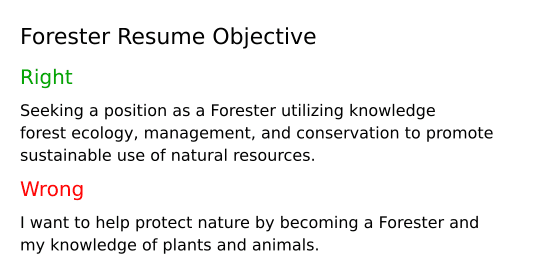 Top 18 Forester Resume Objective Examples | ResumeCat