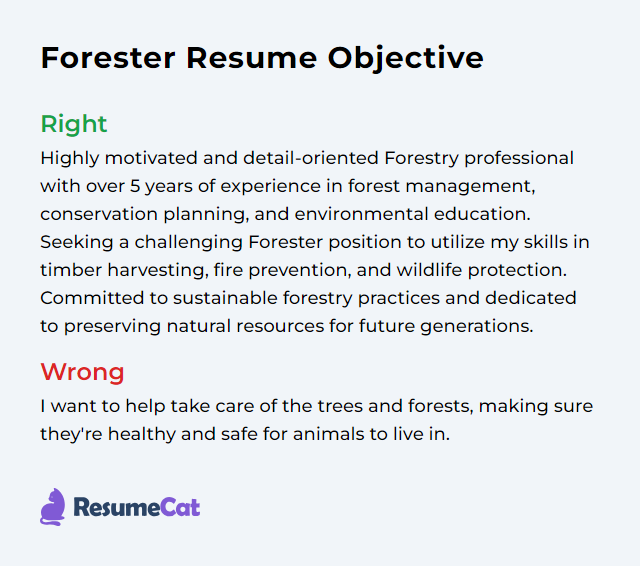 Top 18 Forester Resume Objective Examples ResumeCat