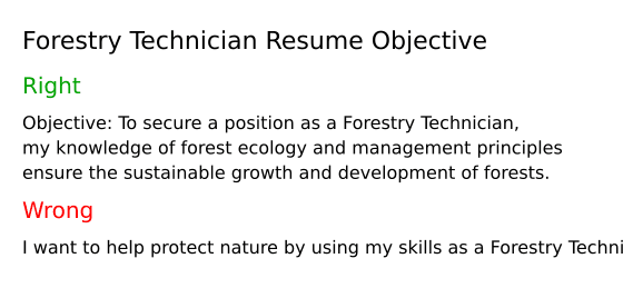 Top 17 Forestry Technician Resume Objective Examples