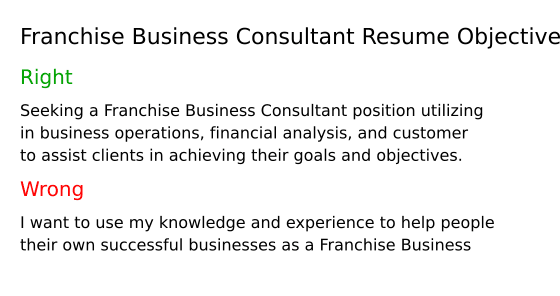 Top 16 Franchise Business Consultant Resume Objective Examples