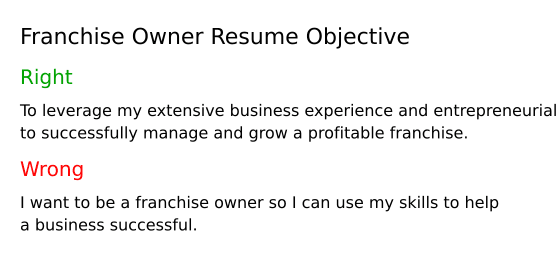 Top 16 Franchise Owner Resume Objective Examples | ResumeCat