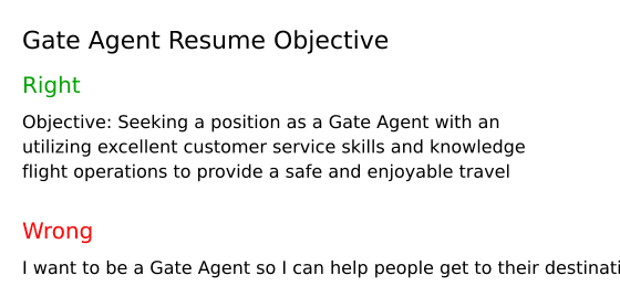 Top 16 Gate Agent Resume Objective Examples | ResumeCat