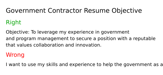 Top 16 Government Contractor Resume Objective Examples
