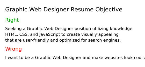Top 16 Graphic Web Designer Resume Objective Examples