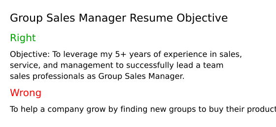 Top 16 Group Sales Manager Resume Objective Examples