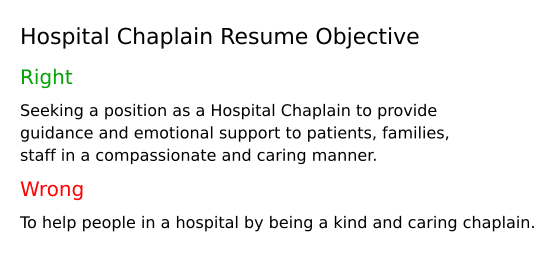 Printable Hospital Chaplain Resumes Samples