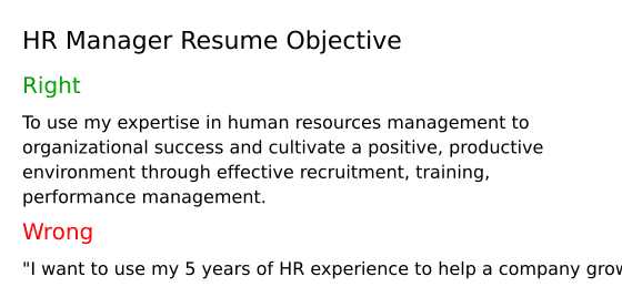 Top 16 HR Manager Resume Objective Examples | ResumeCat