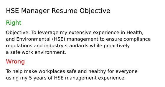 Top 16 HSE Manager Resume Objective Examples | ResumeCat