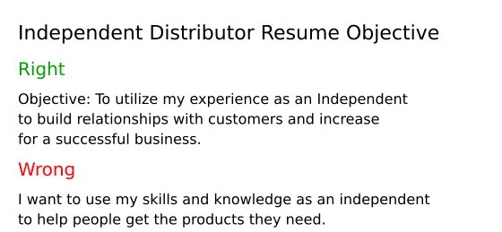 Top 16 Independent Distributor Resume Objective Examples