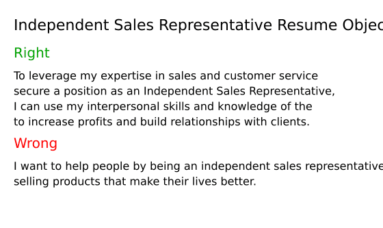Top 16 Independent Sales Representative Resume Objective Examples