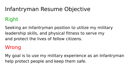 Top 16 Infantryman Resume Objective Examples | ResumeCat