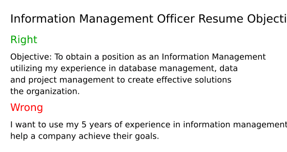 Top 17 Information Management Officer Resume Objective Examples