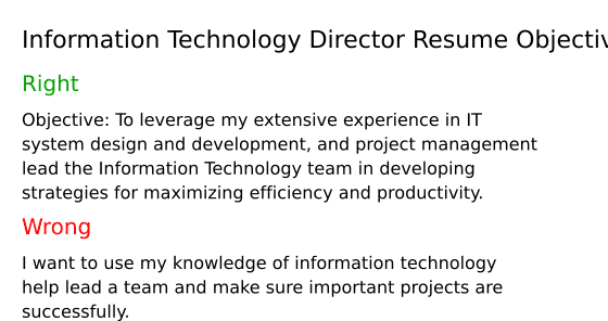 Top 17 Information Technology Director Resume Objective Examples