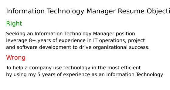 Top 17 Information Technology Manager Resume Objective Examples Top 17 Information Technology Manager Resume Objective Examples