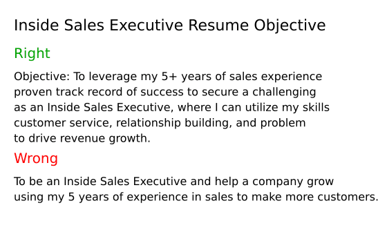 Top 17 Inside Sales Executive Resume Objective Examples