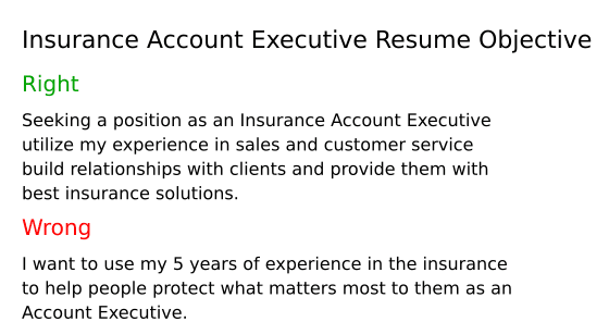 Top 16 Insurance Account Executive Resume Objective Examples