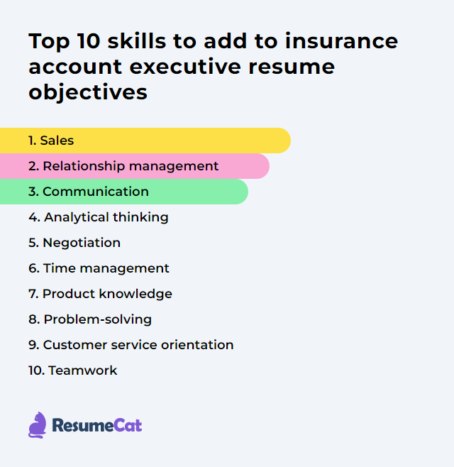 Top 16 Insurance Account Executive Resume Objective Examples
