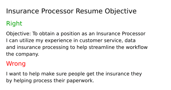 Top 17 Insurance Processor Resume Objective Examples