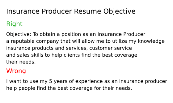 Top 17 Insurance Producer Resume Objective Examples