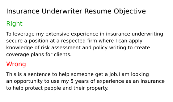 Top 17 Insurance Underwriter Resume Objective Examples