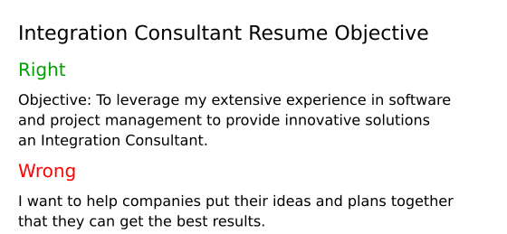 Top 17 Integration Consultant Resume Objective Examples