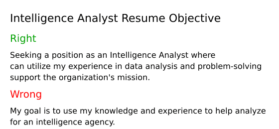 Top 16 Intelligence Analyst Resume Objective Examples