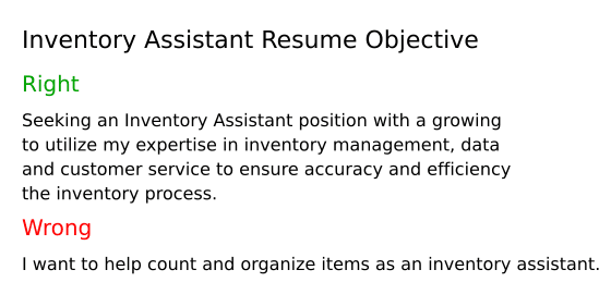 Top 16 Inventory Assistant Resume Objective Examples