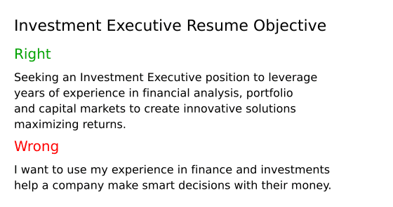 Top 16 Investment Executive Resume Objective Examples