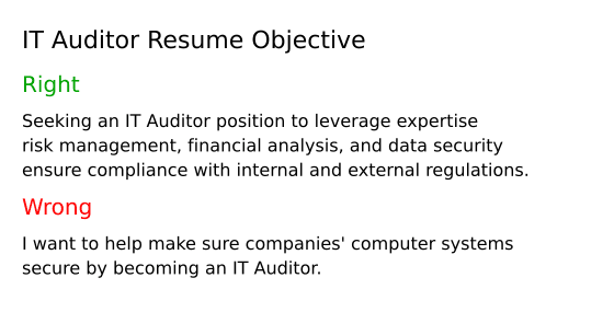 Top 17 IT Auditor Resume Objective Examples | ResumeCat