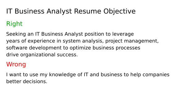 Top 18 IT Business Analyst Resume Objective Examples