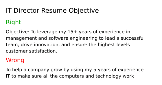 Top 17 IT Director Resume Objective Examples | ResumeCat
