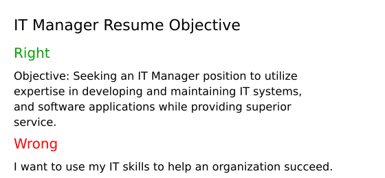 Top 16 IT Manager Resume Objective Examples | ResumeCat