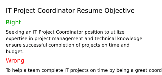 Top 16 IT Project Coordinator Resume Objective Examples
